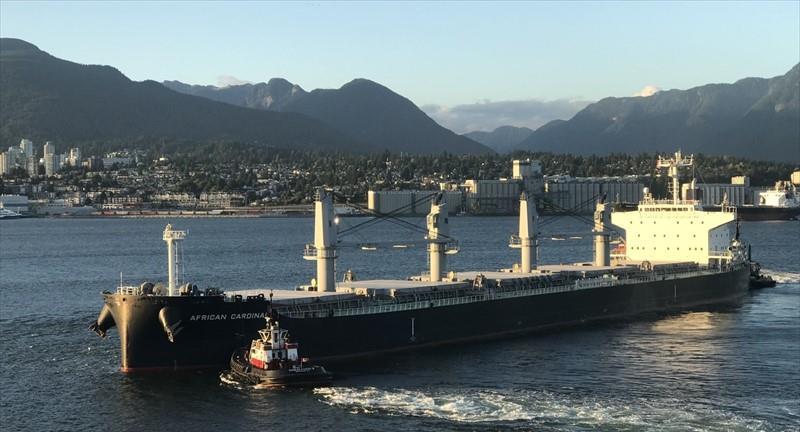 AFRICAN CARDINAL - Vesseljoin