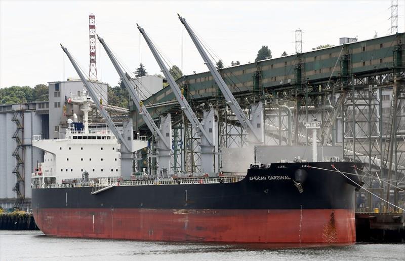 AFRICAN CARDINAL - Vesseljoin