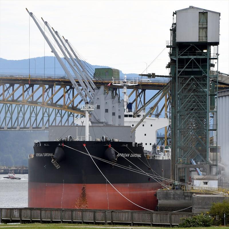 AFRICAN CARDINAL - Vesseljoin