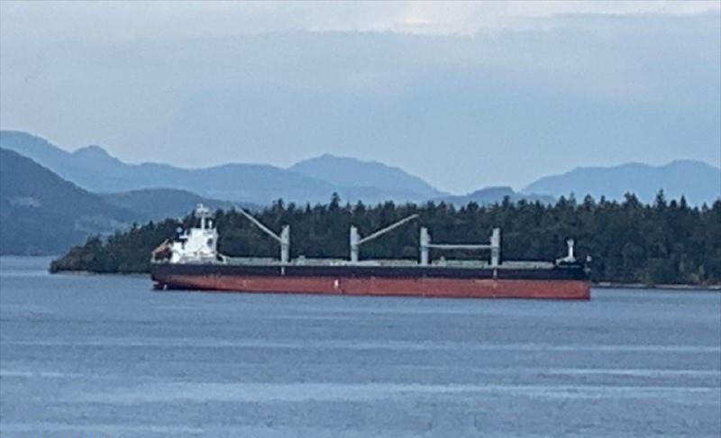 AFRICAN CARDINAL - Vesseljoin