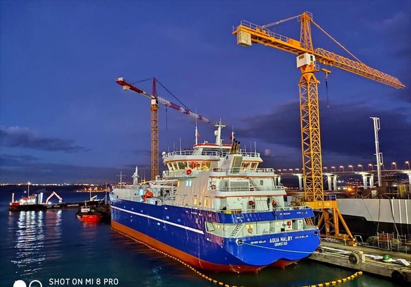 AQUA MALOY DEMO - Vesseljoin