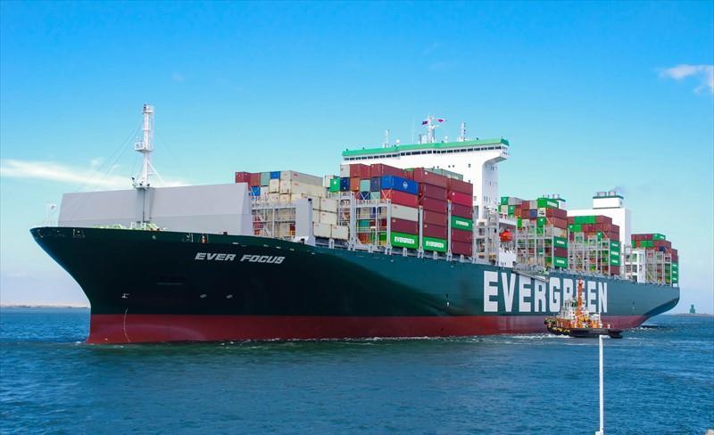 EVER FOCUS - Vesseljoin