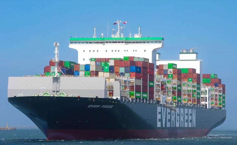 EVER FOCUS - Vesseljoin