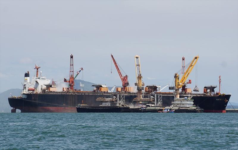 FUTONG EXPRESS - Vesseljoin