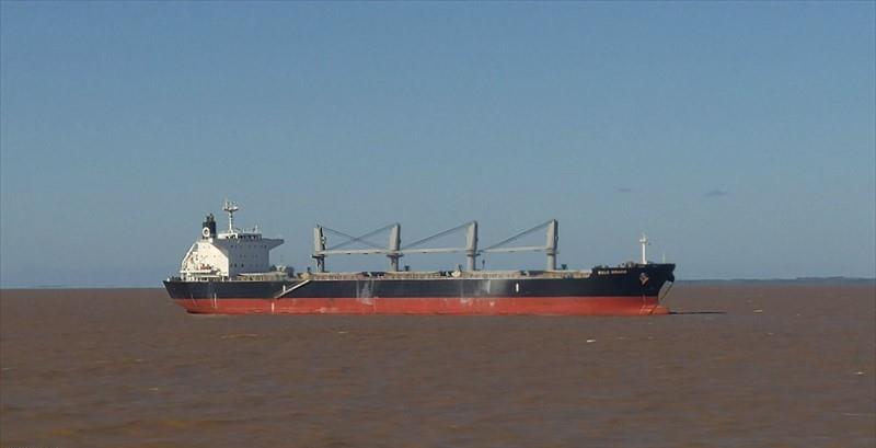 BULK DRACO - Vesseljoin