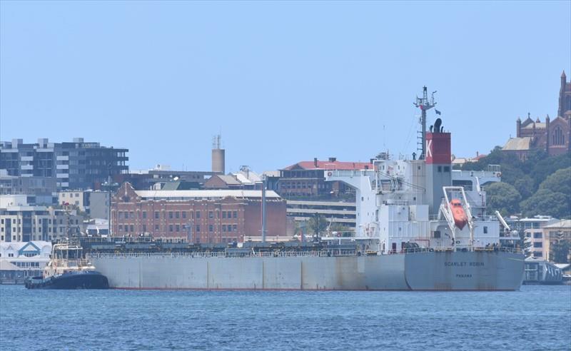 SCARLET ROBIN - Vesseljoin