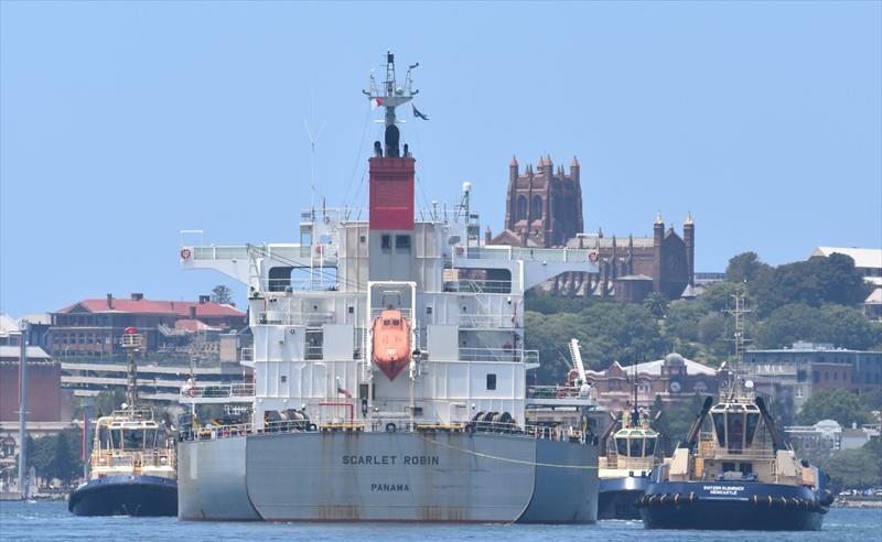 SCARLET ROBIN - Vesseljoin