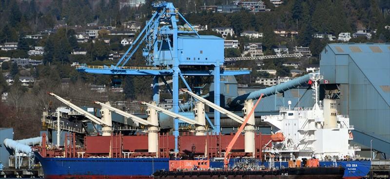 IYO SEA - Vesseljoin