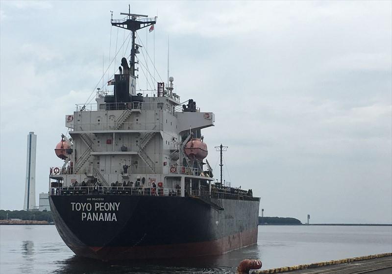 TOYO PEONY - Vesseljoin