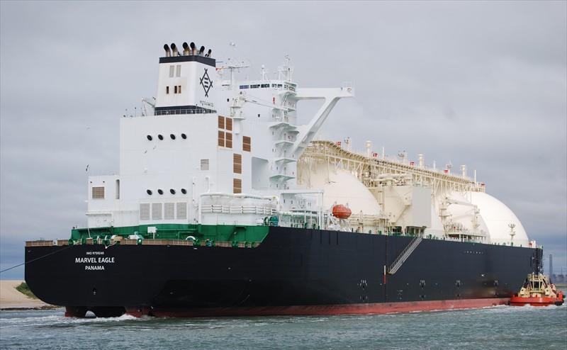 MARVEL EAGLE - Vesseljoin