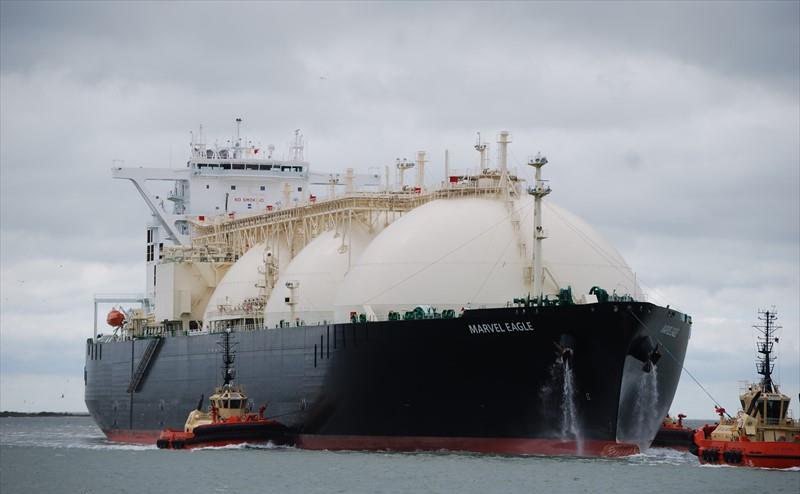 MARVEL EAGLE - Vesseljoin