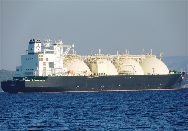 MARVEL EAGLE - Vesseljoin