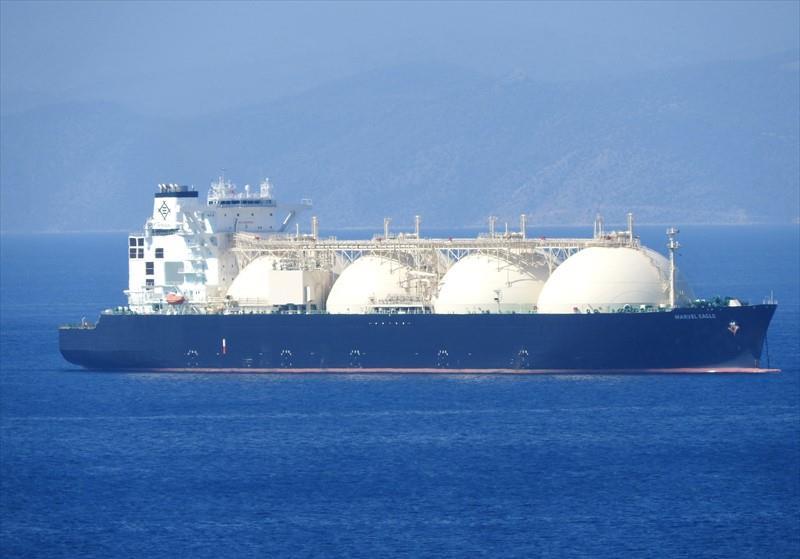 MARVEL EAGLE - Vesseljoin