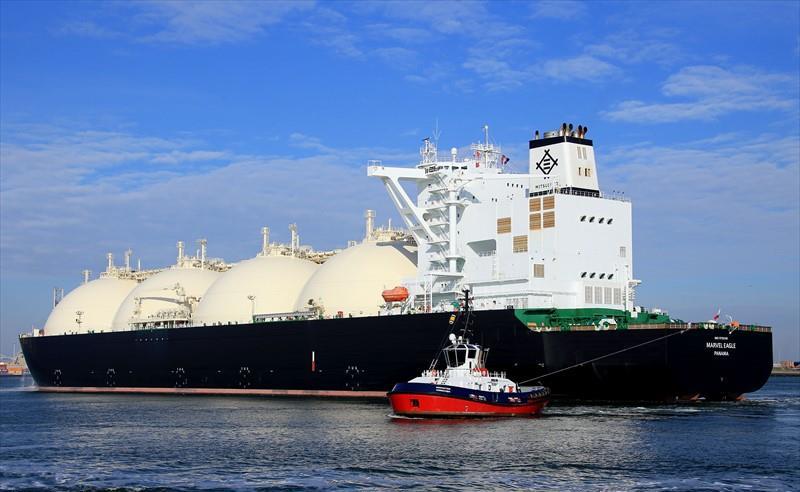 MARVEL EAGLE - Vesseljoin