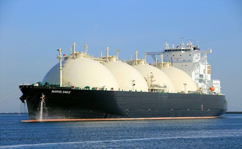 MARVEL EAGLE - Vesseljoin