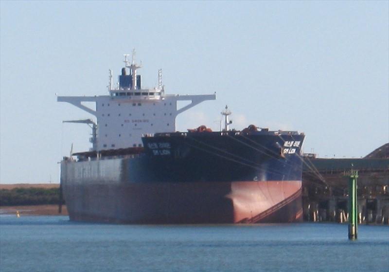 SM LION - Vesseljoin