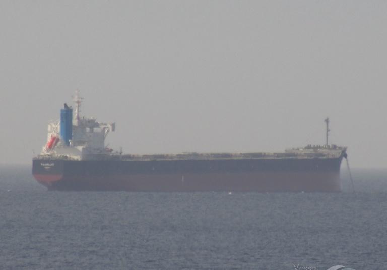 COPIHUE TIGER - Vesseljoin