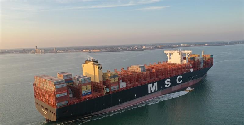 MSC ARINA - Vesseljoin