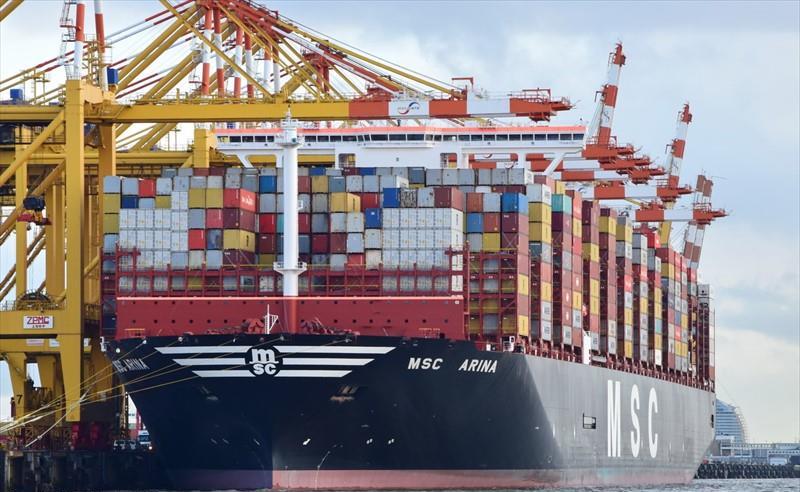 MSC ARINA - Vesseljoin