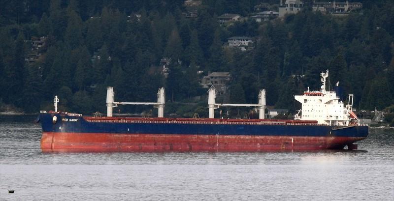 RED DAISY - Vesseljoin