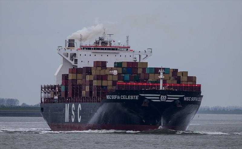MSC SOFIA CELESTE - Vesseljoin