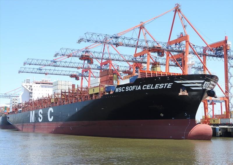 MSC SOFIA CELESTE - Vesseljoin