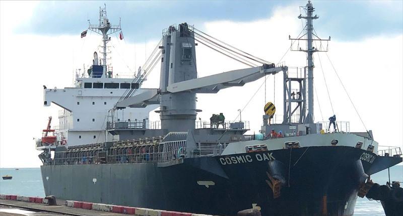 COSMIC OAK - Vesseljoin