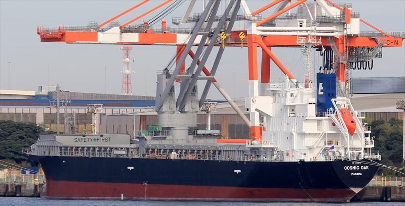 COSMIC OAK - Vesseljoin