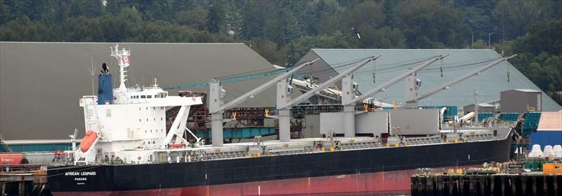 AFRICAN LEOPARD - Vesseljoin