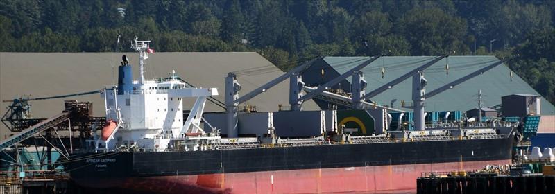 AFRICAN LEOPARD - Vesseljoin