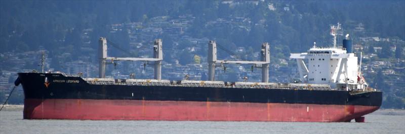 AFRICAN LEOPARD - Vesseljoin