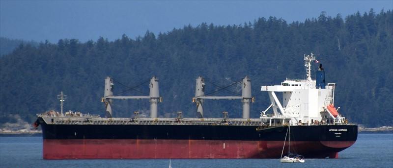 AFRICAN LEOPARD - Vesseljoin