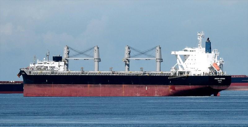 AFRICAN LEOPARD - Vesseljoin