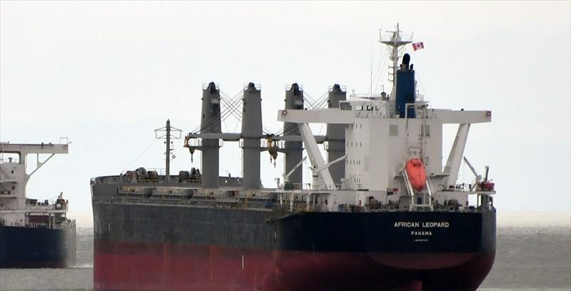 AFRICAN LEOPARD - Vesseljoin