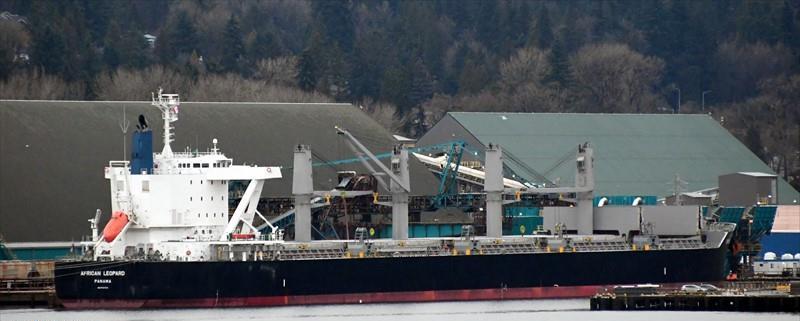 AFRICAN LEOPARD - Vesseljoin