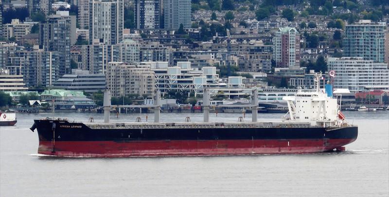 AFRICAN LEOPARD - Vesseljoin