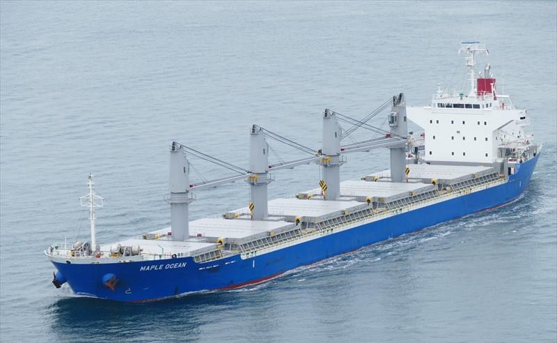 MAPLE OCEAN - Vesseljoin