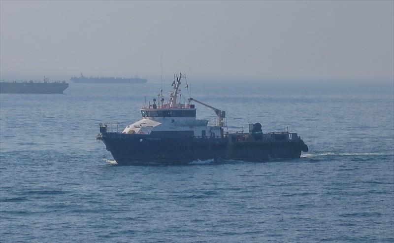 STANFORD MAYA - Vesseljoin