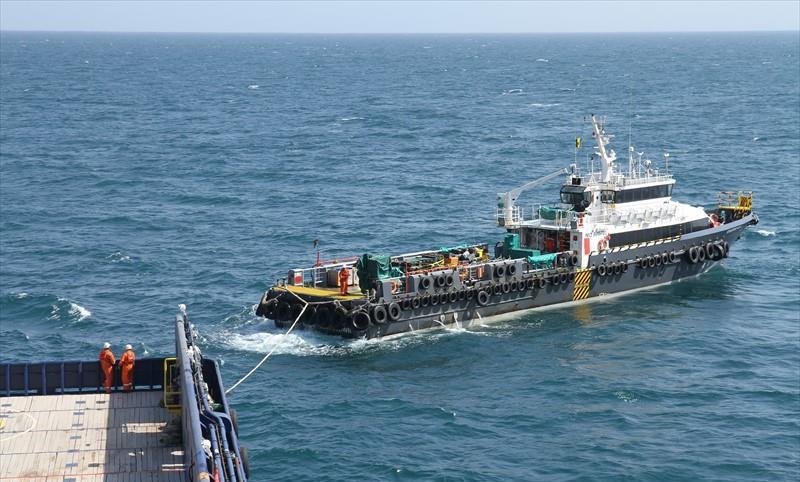 STANFORD MAYA - Vesseljoin