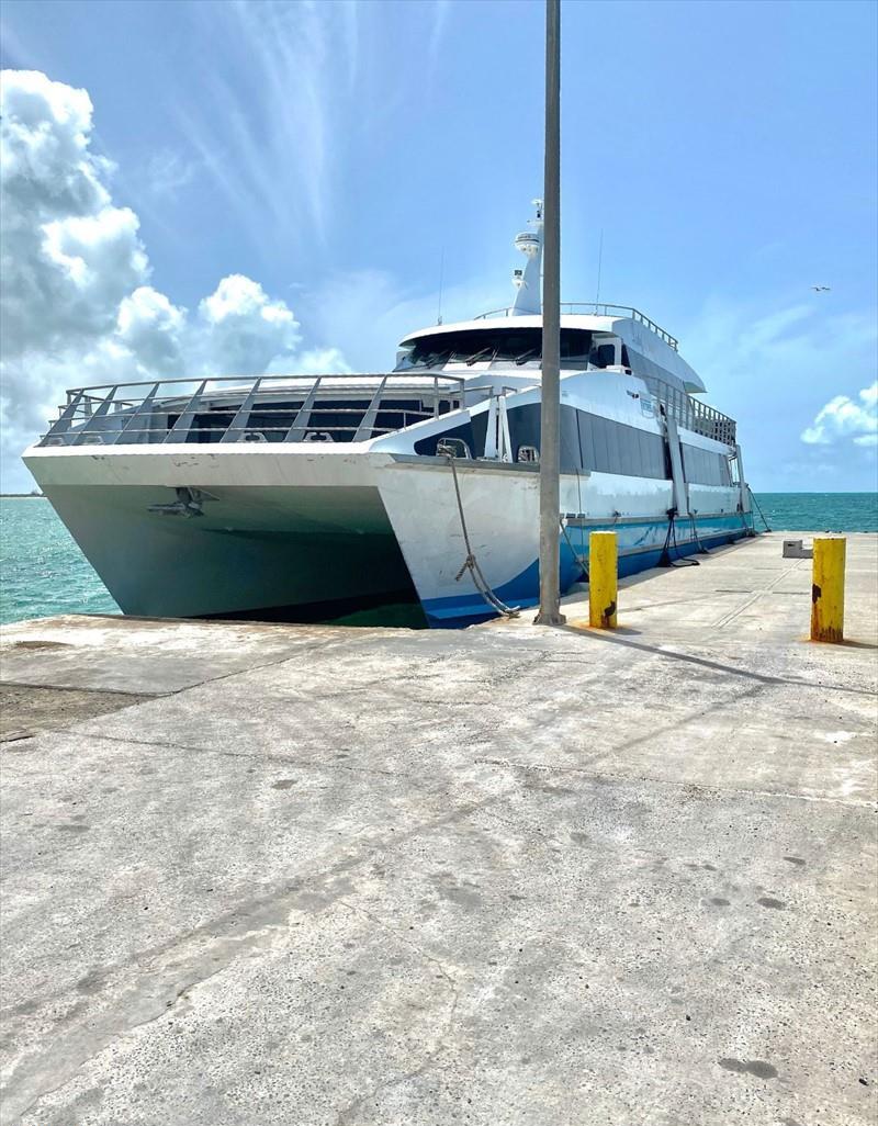 LADY DAISY - Vesseljoin