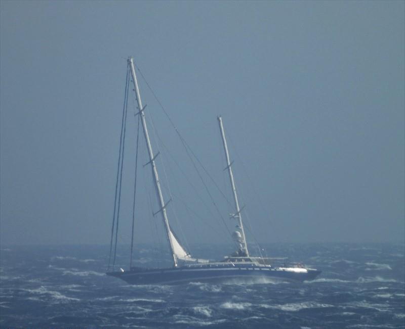 TAMER II - Vesseljoin