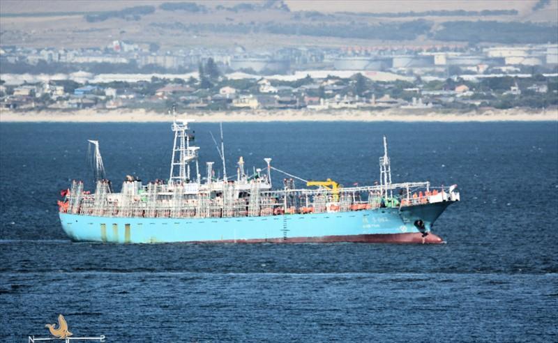 SHUN FENG 002 - Vesseljoin