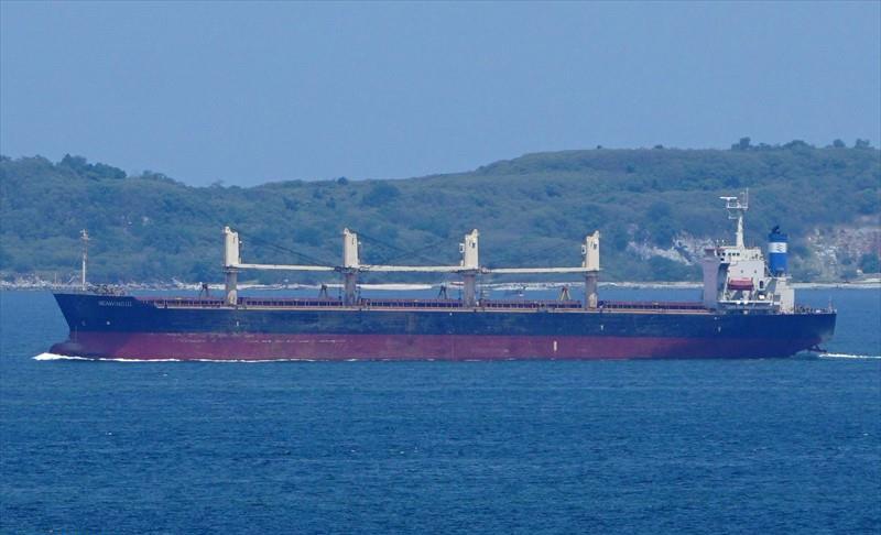 RUI KANG 56 - Vesseljoin