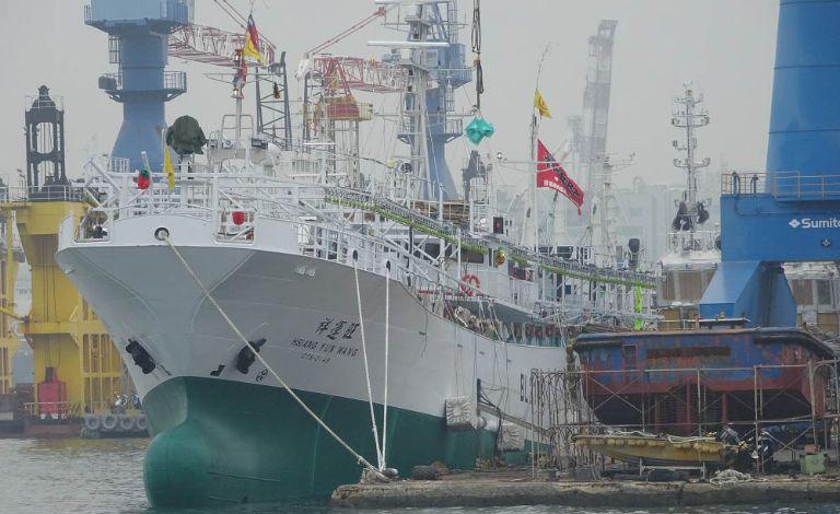 HSIANG YUN WANG - Vesseljoin