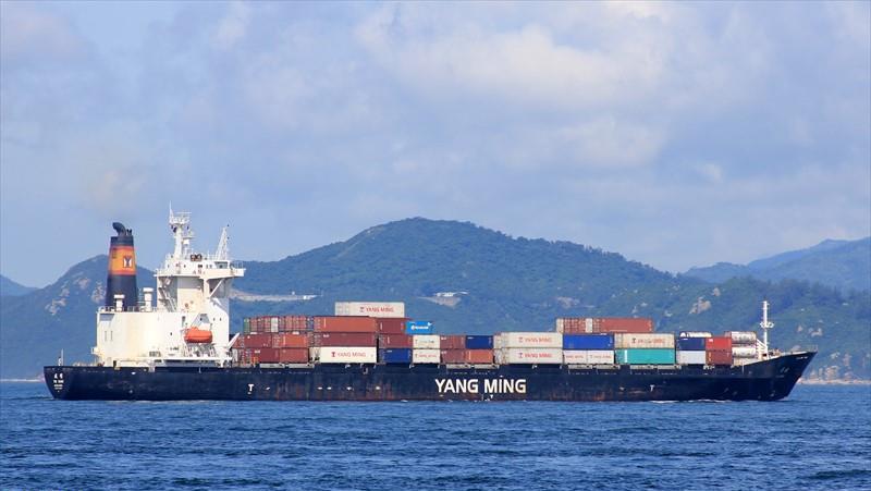 YM HAWK - Vesseljoin