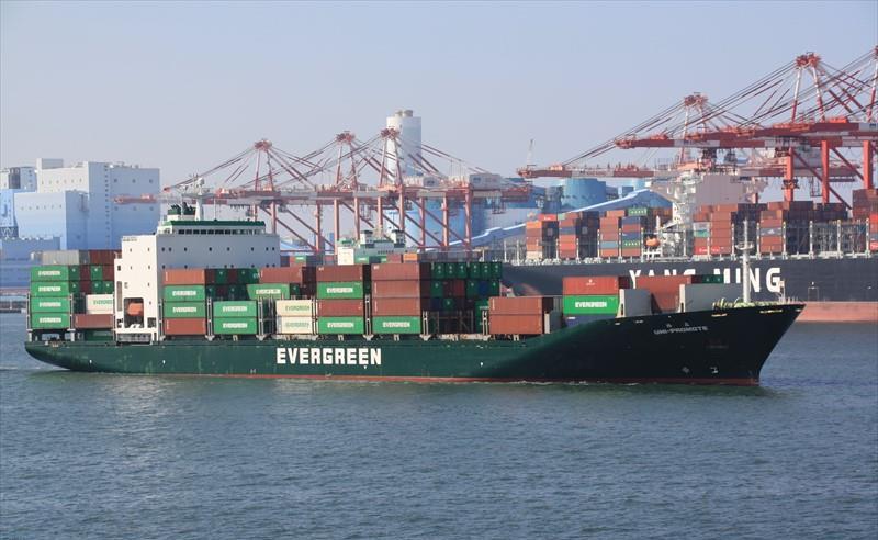 UNI PROMOTE - Vesseljoin