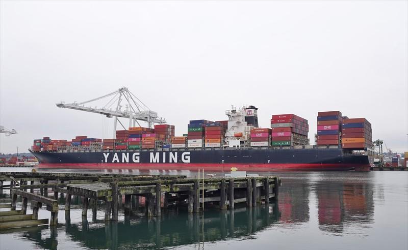 YM UNICORN - Vesseljoin