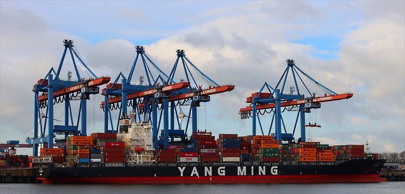 YM EVOLUTION - Vesseljoin