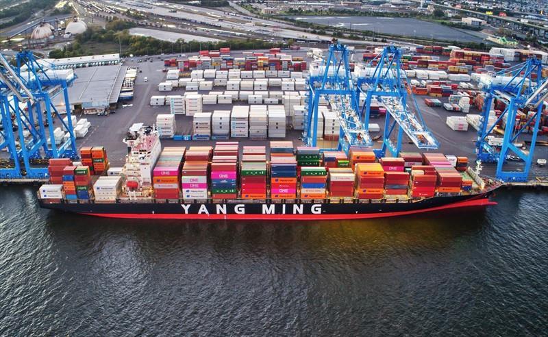 YM EVOLUTION - Vesseljoin