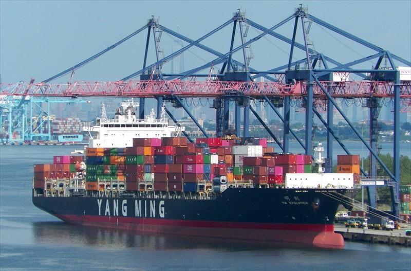 YM EVOLUTION - Vesseljoin